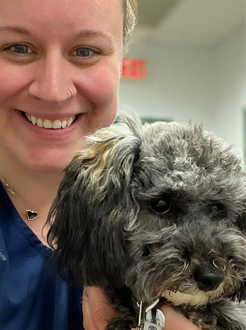 Home - Veterinarian In Schererville | Near You | Deer Run Animal Hospital